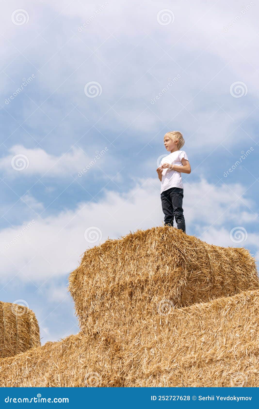 Cute Schoolboy Boy Stays on Large Haystack in Field on Blue Sky ...