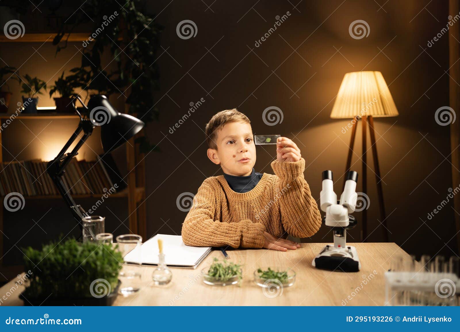Cute Schoolboy Looking at Sample Under the Microscope Studying at Home ...