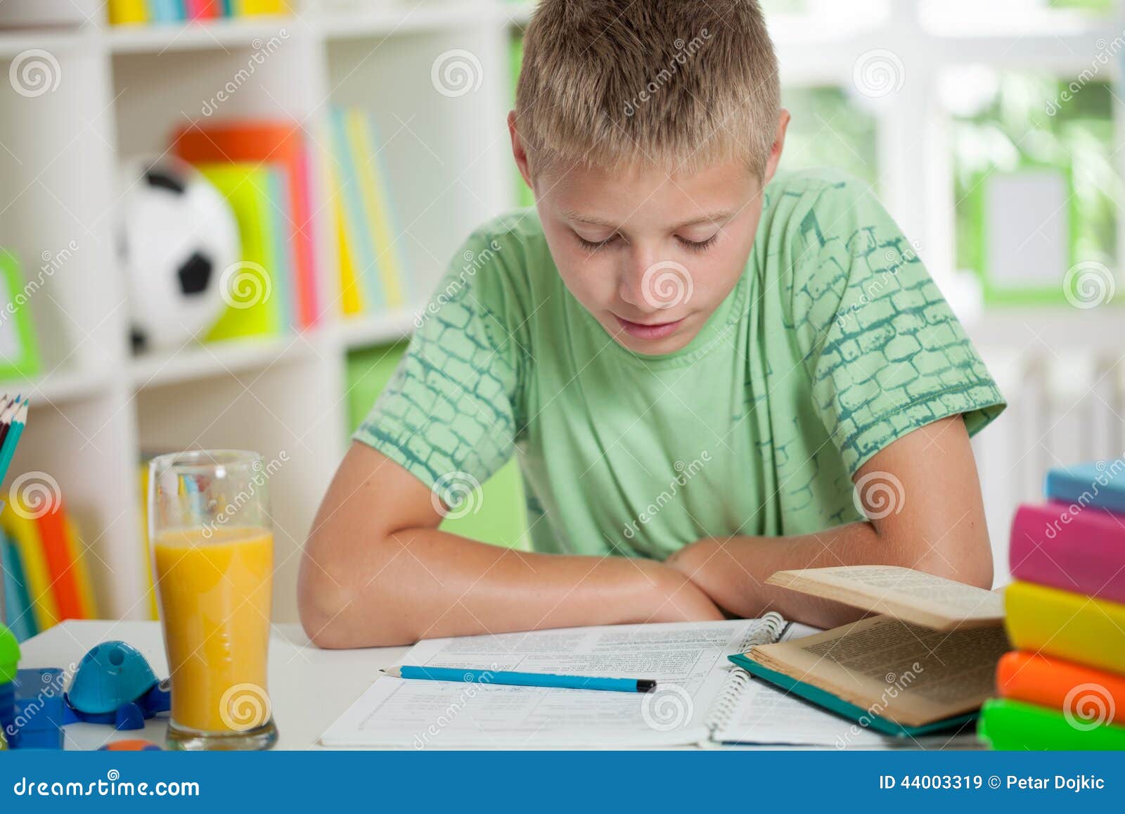 Cute Schoolboy Reading and Studying Stock Image - Image of lesson, home ...