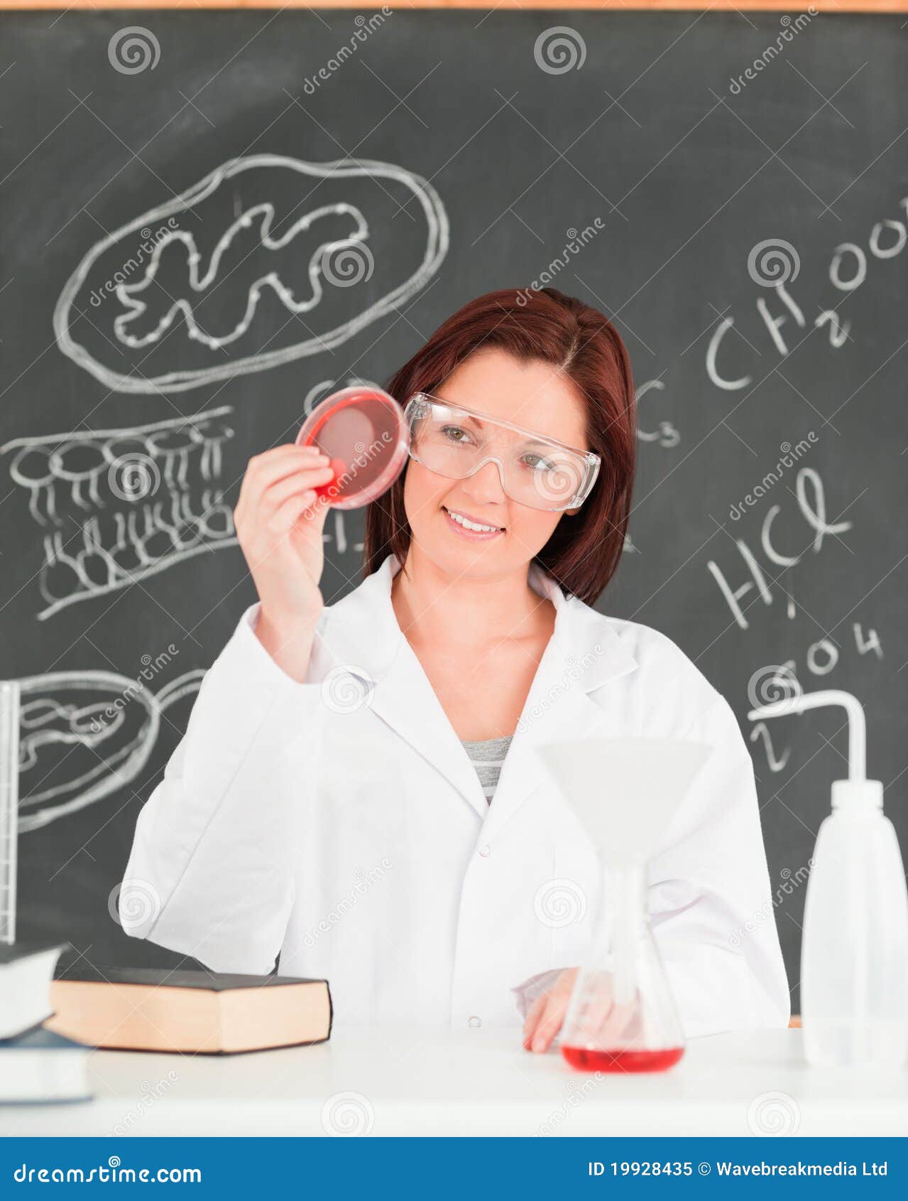 Cute Scientist Looking at a Petri Dish Stock Image - Image of ...
