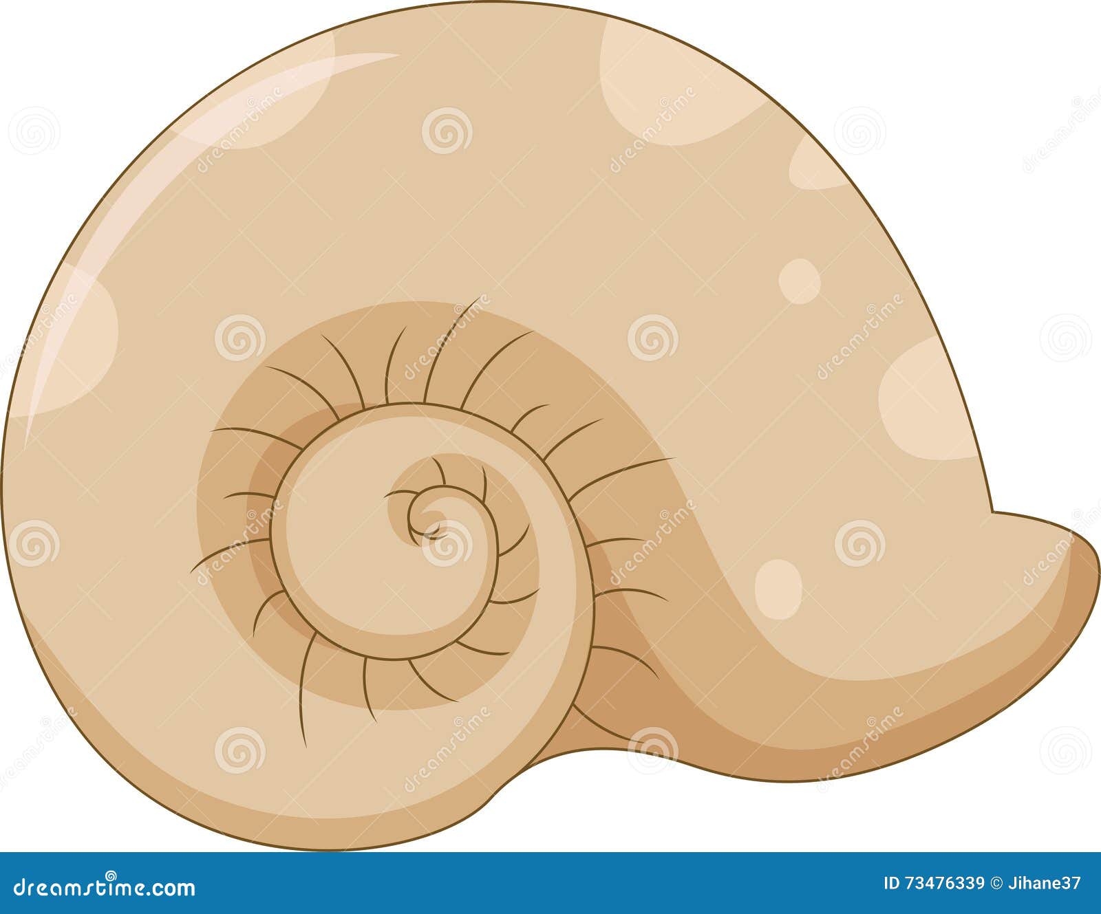 Cute Sea Shells Cartoon for You Design Stock Illustration ...