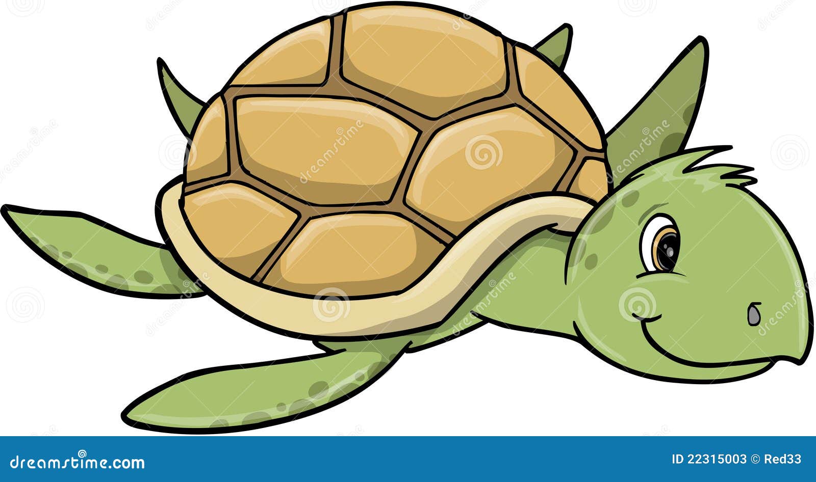 Turtle. Vector Drawing | CartoonDealer.com #102463775