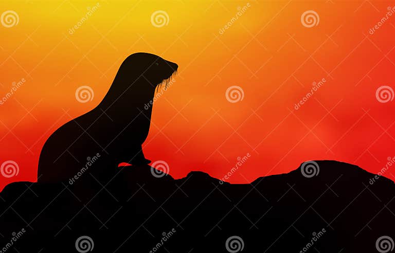Cute seal stock illustration. Illustration of floe, death - 625209