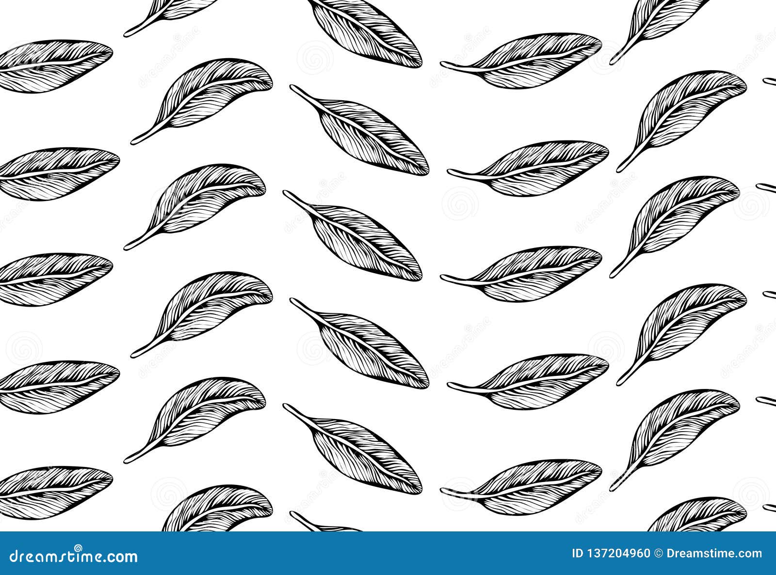 Cute Seamless Feather Pattern on White Background. Stock Vector ...