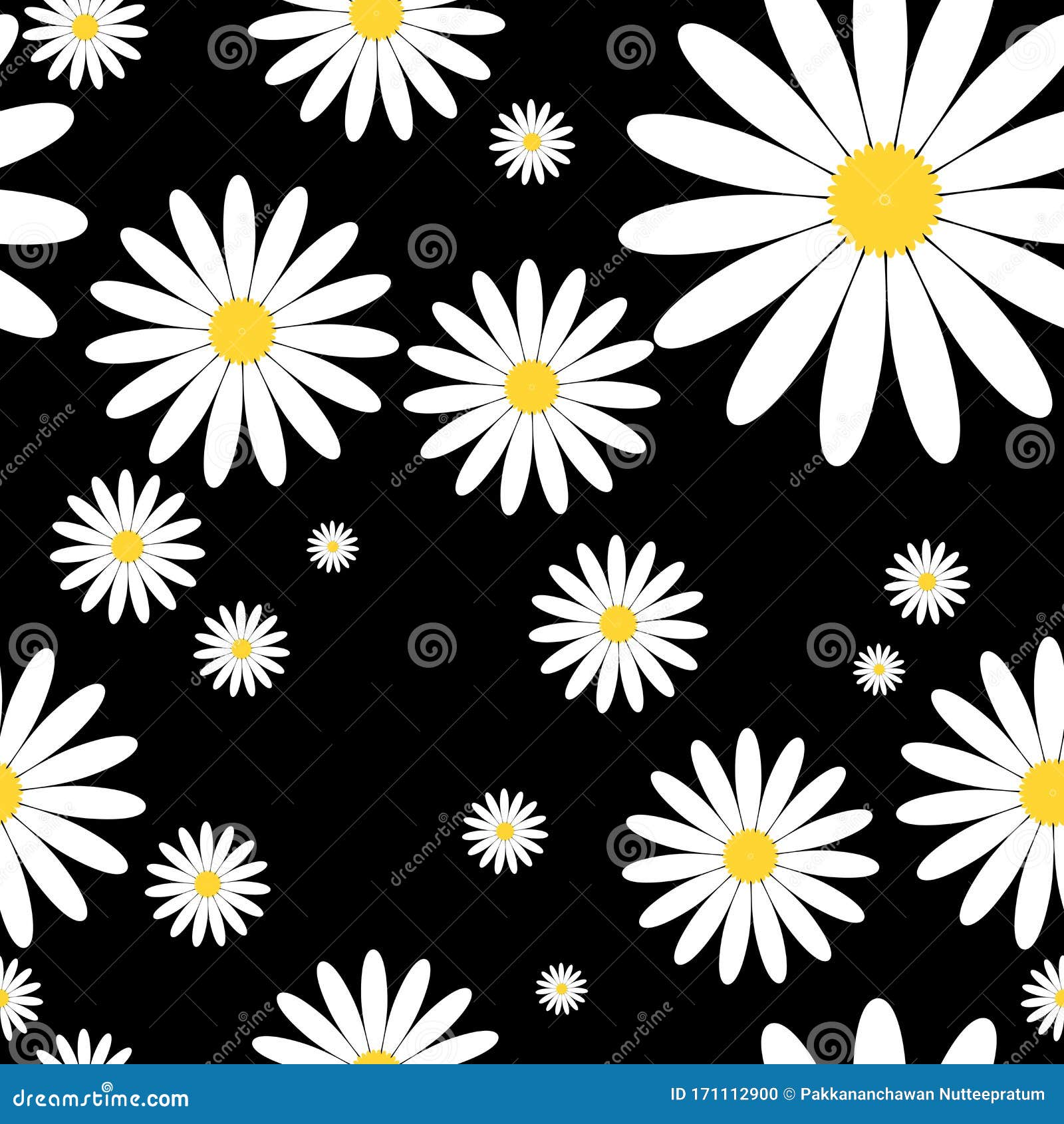 Cute Seamless Pattern of White Daisies on Black Background Stock Vector ...