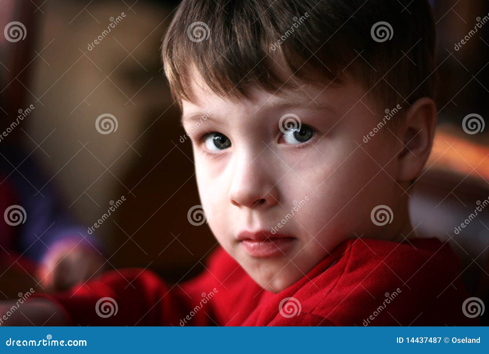 Cute Serious Little Boy stock image. Image of serious - 14437487