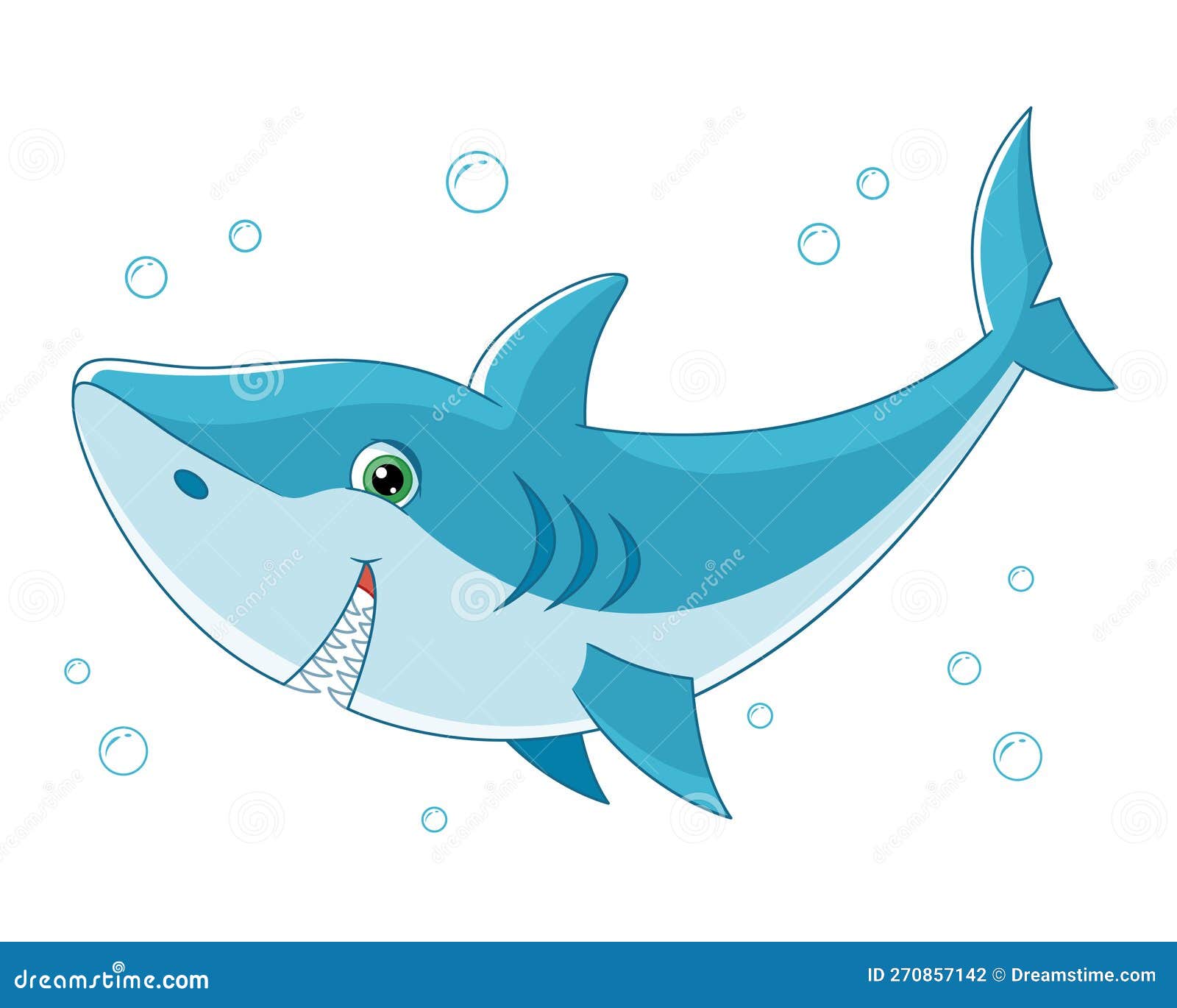 Shark Swimming Sea Animal, Front View Vector Illustration On A White ...