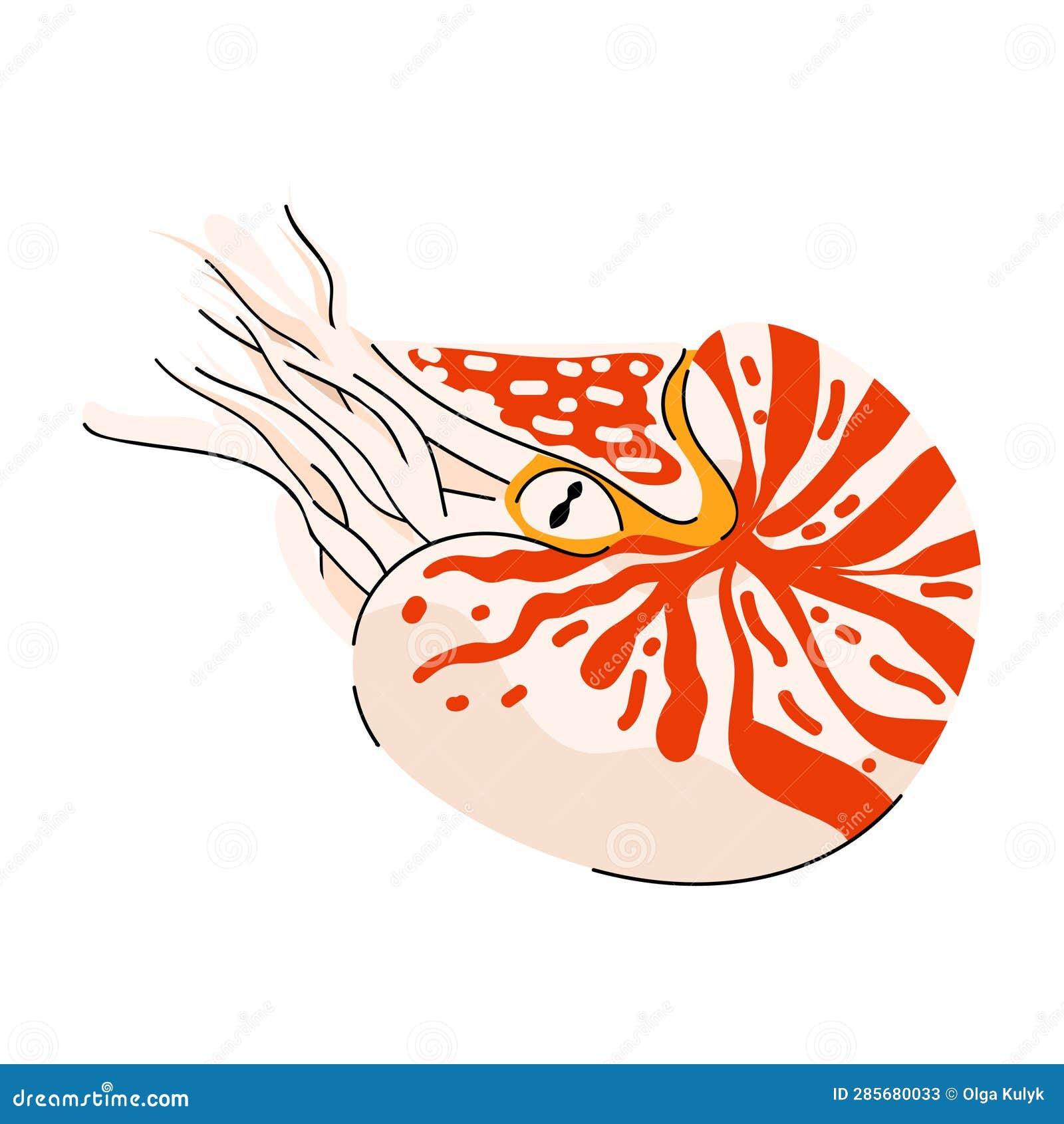 Cute Shellfish Nautilus Isolated on White Background. Ocean Marine ...