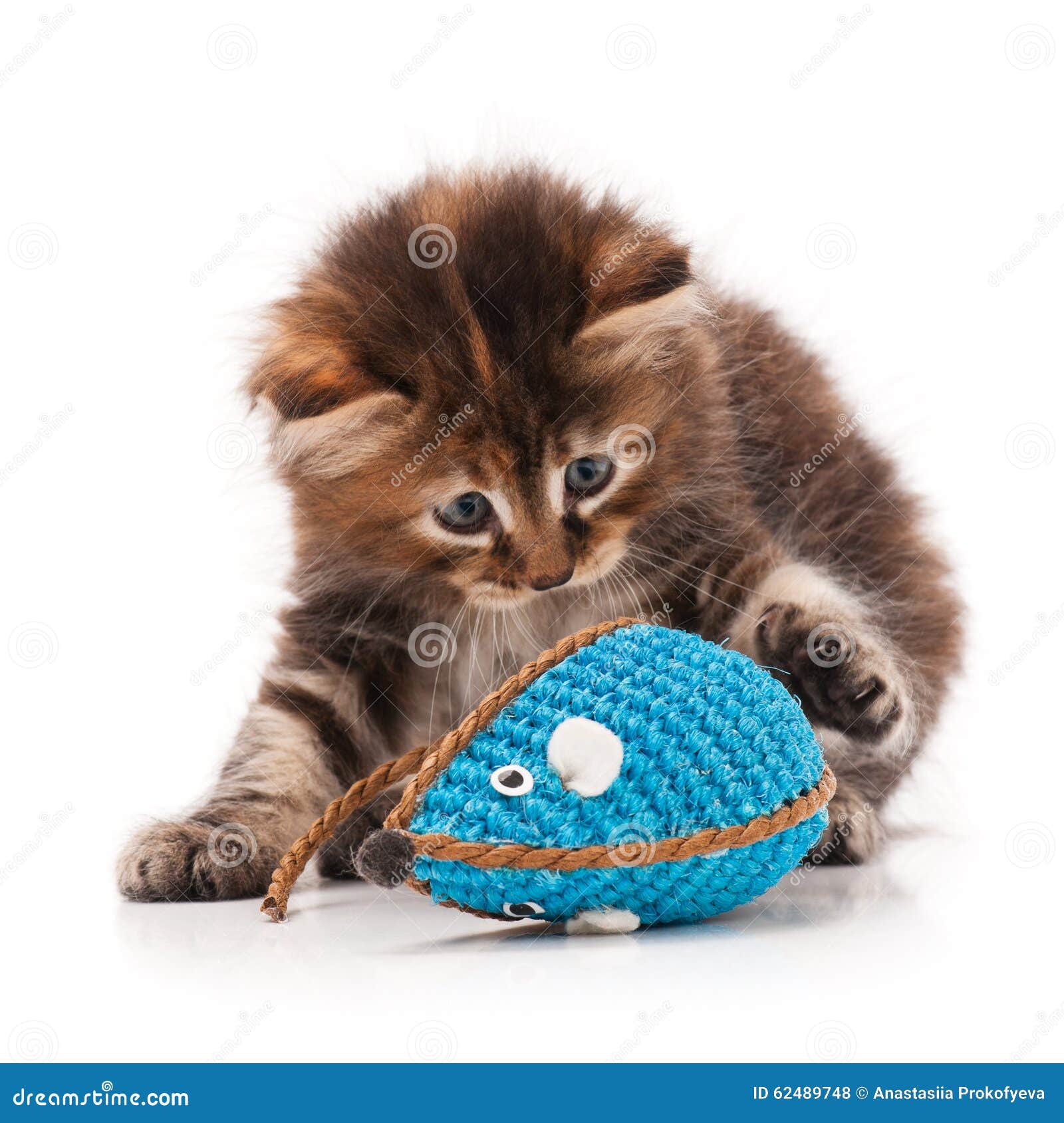 Siberian Mouse - Detailed Wildlife Illustration Royalty-Free Cartoon ...