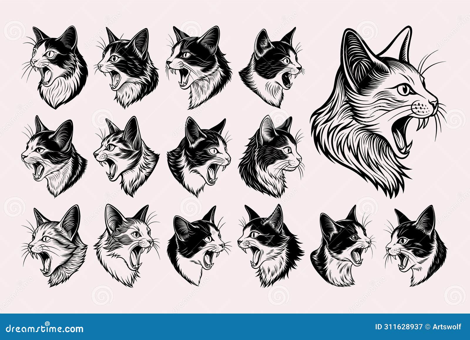 Cute Cat Meowing With Open Mouth In Front Of Pink Studio Background ...