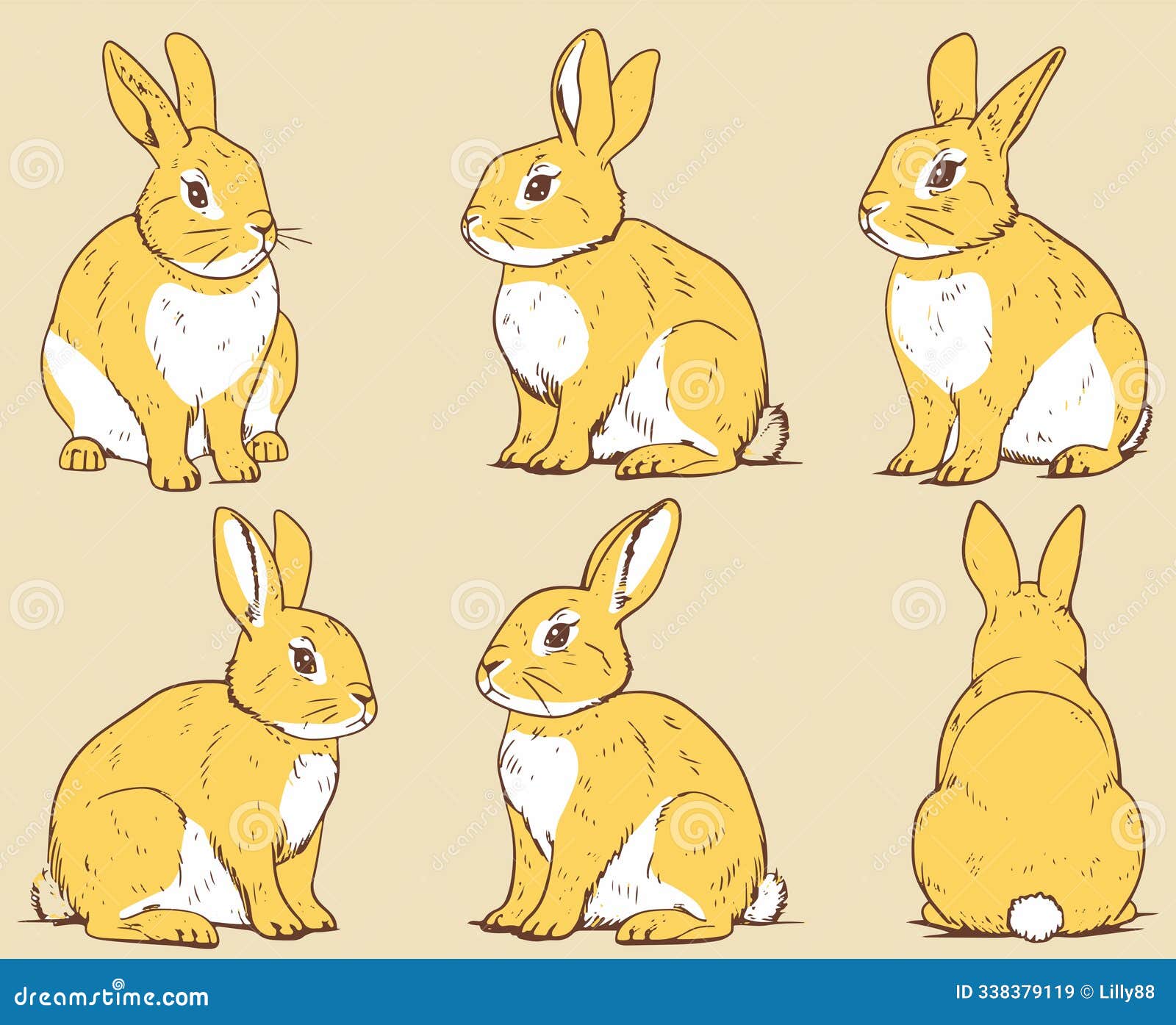 A Cute Simple Rabbit with Different Angles. Stock Illustration ...