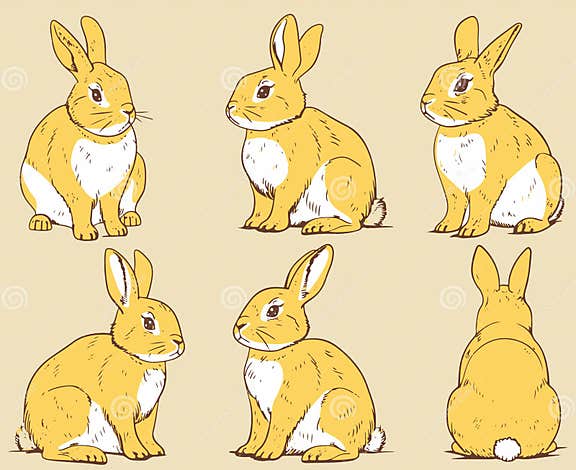 A Cute Simple Rabbit with Different Angles. Stock Illustration ...