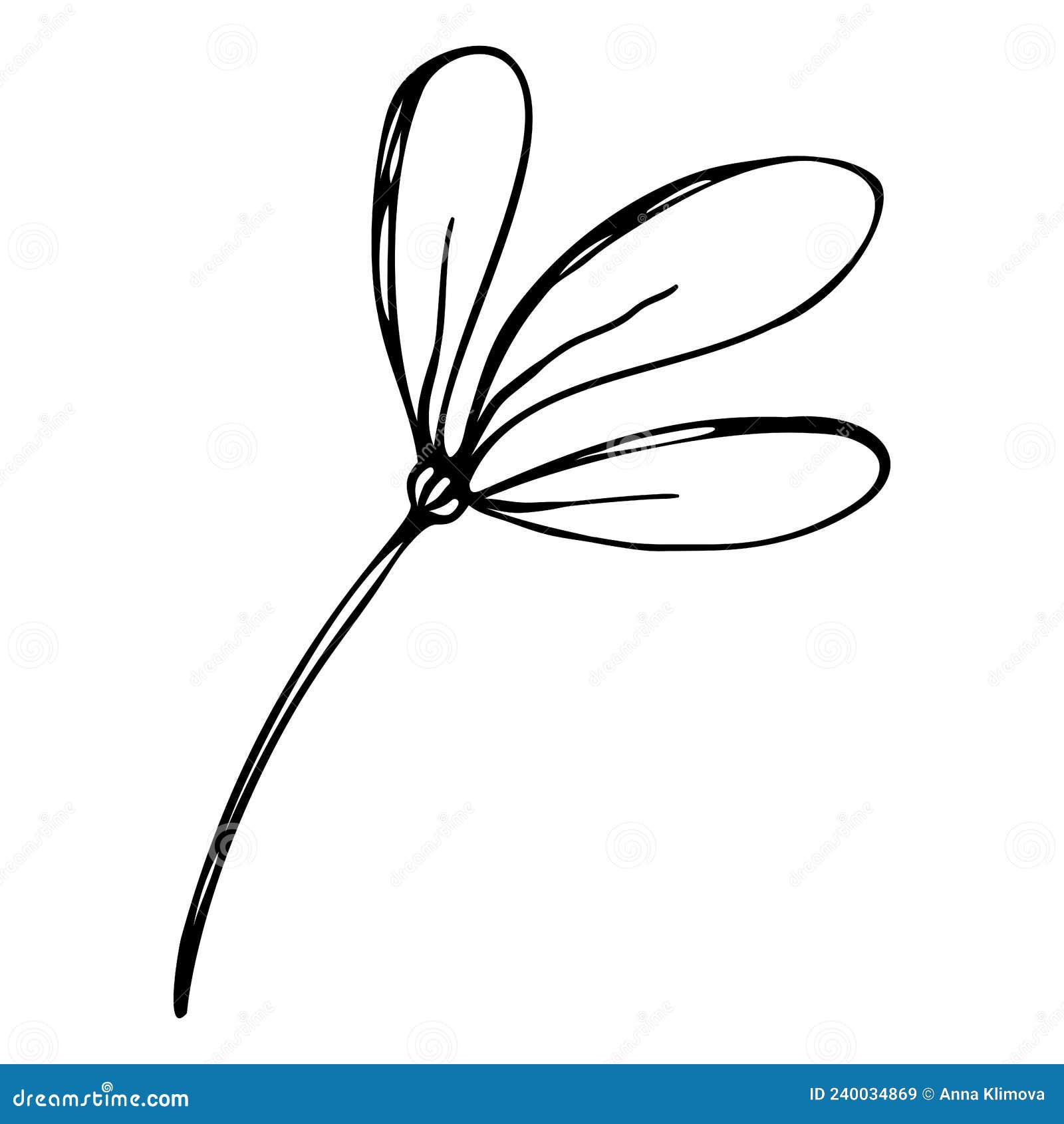 Cute Single Hand Drawn Floral Elements in Doodle Style Stock Vector ...