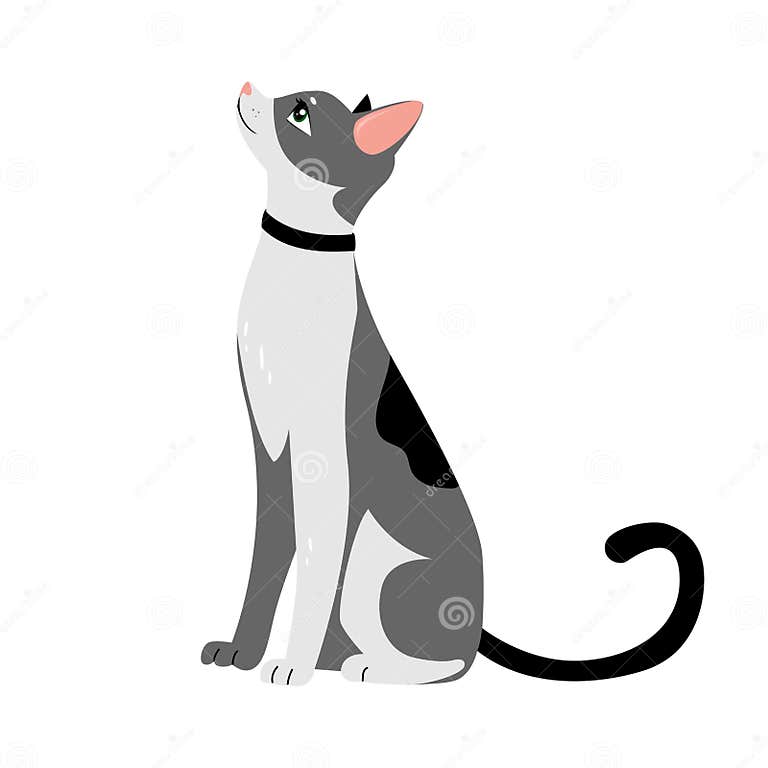 Cute Sitting Cat In Flat Style Isolated On White Background Flat
