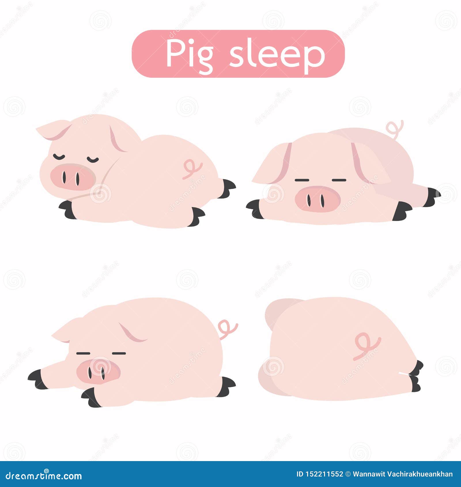 Cute Sleeping Pig Cartoon Vector Set Stock Vector - Illustration of ...