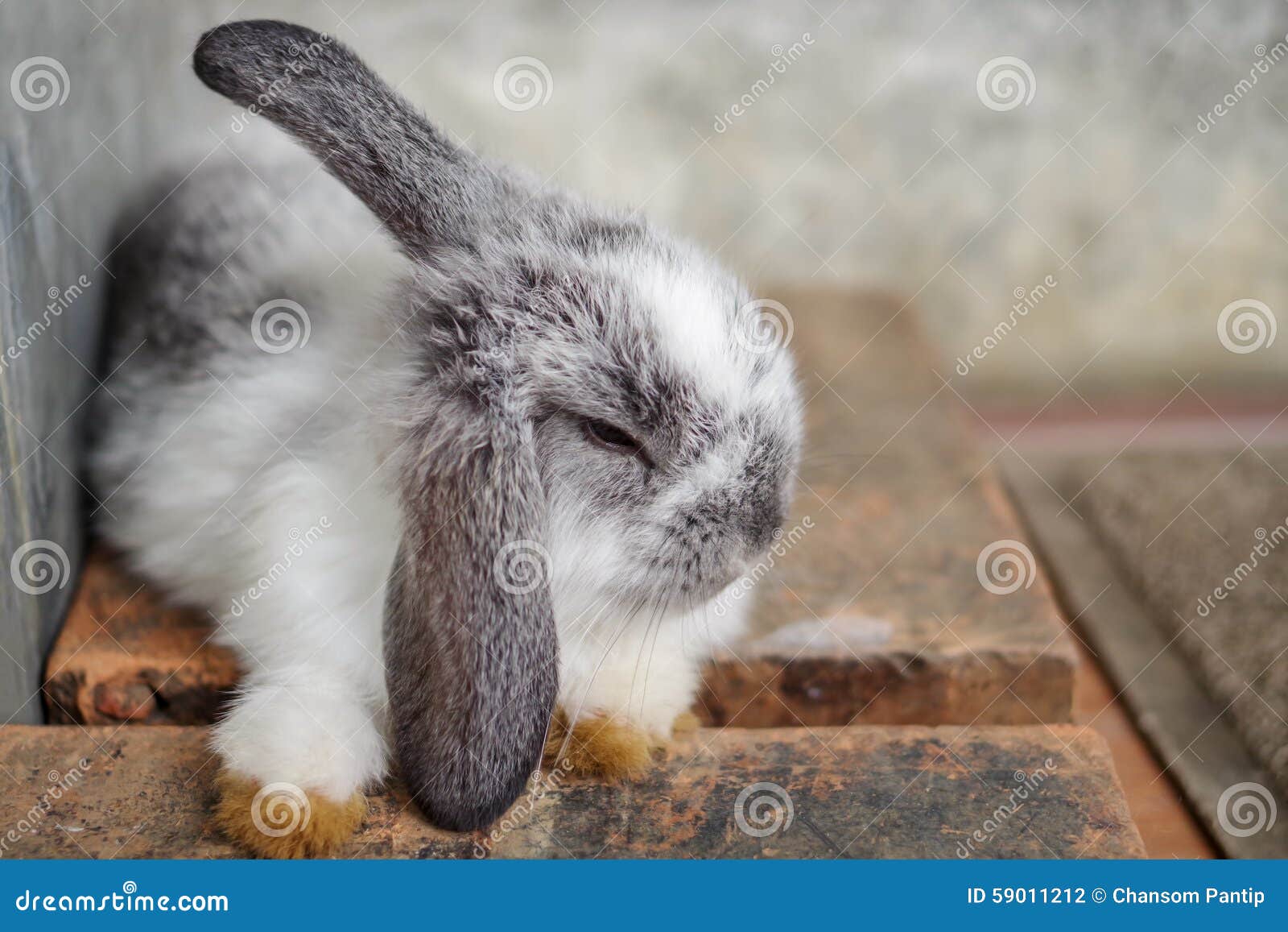 Cute Sleepy Baby Girl, Stretches, Hands Up, After Sleeping In The ...