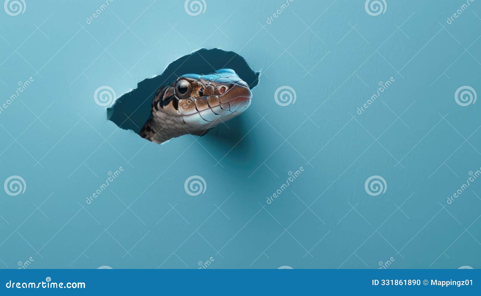 Cute Slow Worm Peeking through a Hole Stock Illustration - Illustration ...