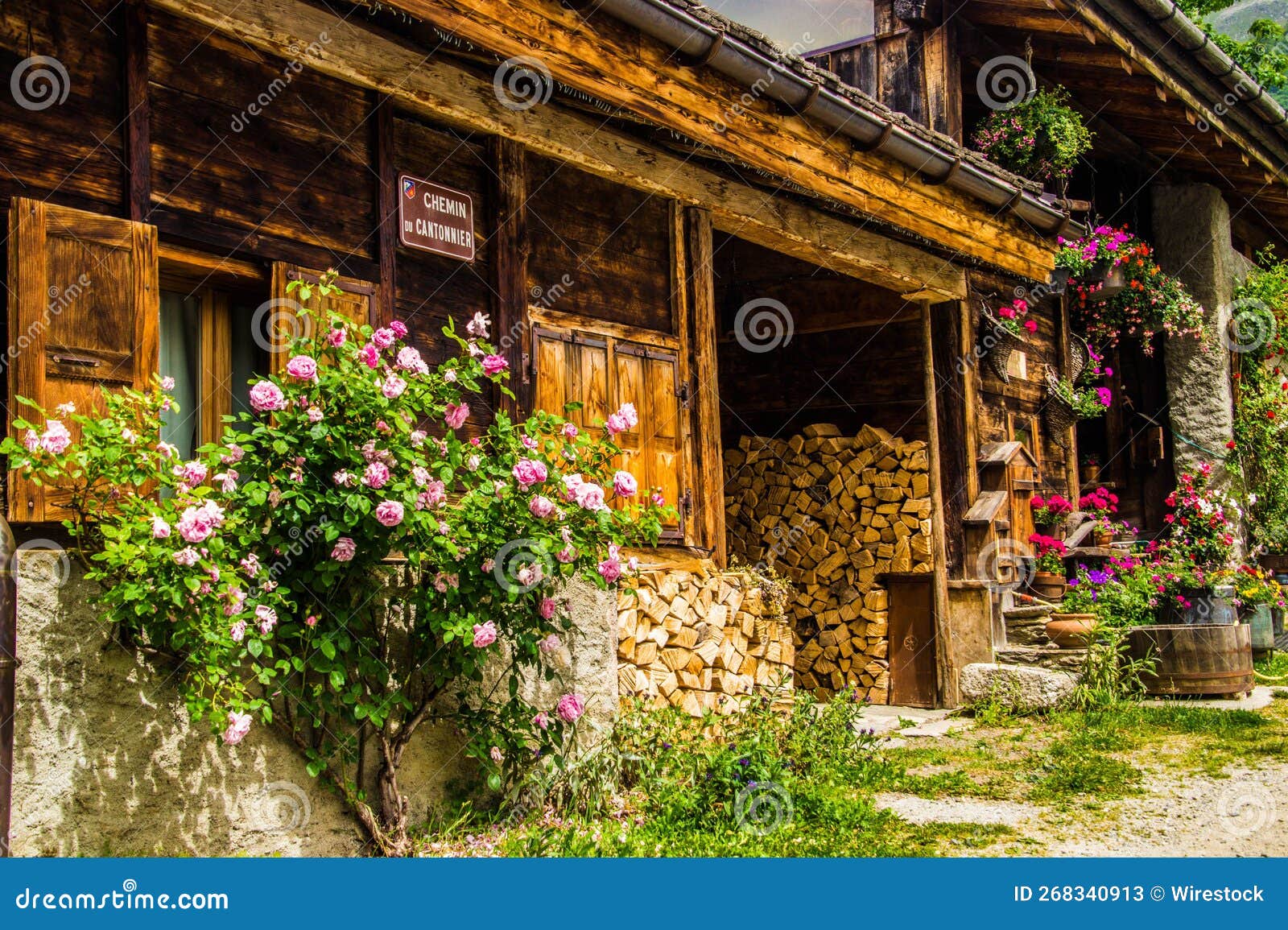 Cute Small Wooden House Surrounded by Green Grass and Flower Pots Stock ... Cute Small Wooden House Surrounded by Green Grass and Flower Pots Stock ...