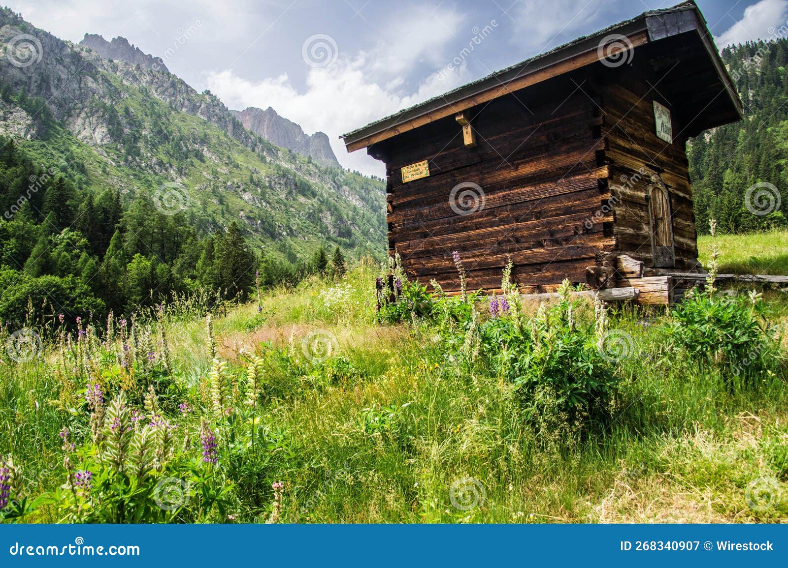 Cute Small Wooden House Surrounded by Green Grass and Mountains Stock ... Cute Small Wooden House Surrounded by Green Grass and Mountains Stock ...