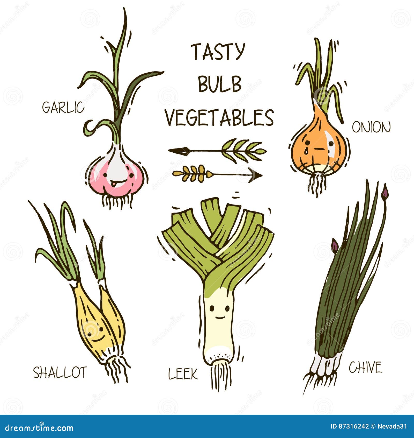 Cute Smiling Bulb Vegetables Stock Illustration - Illustration of leek ...