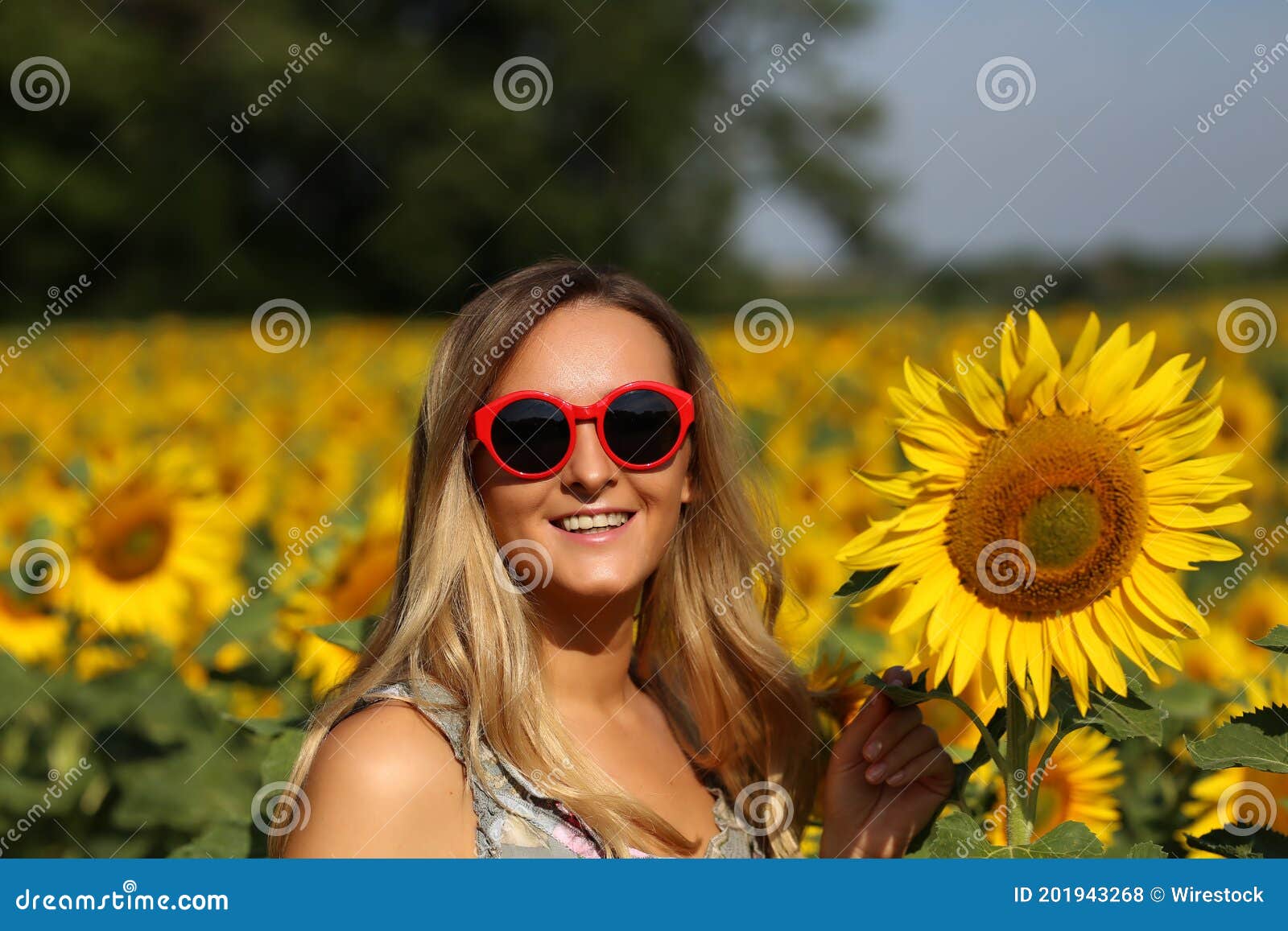 Cute Smiling Girl In Red Sunglasses Posing In The Field Of Bright