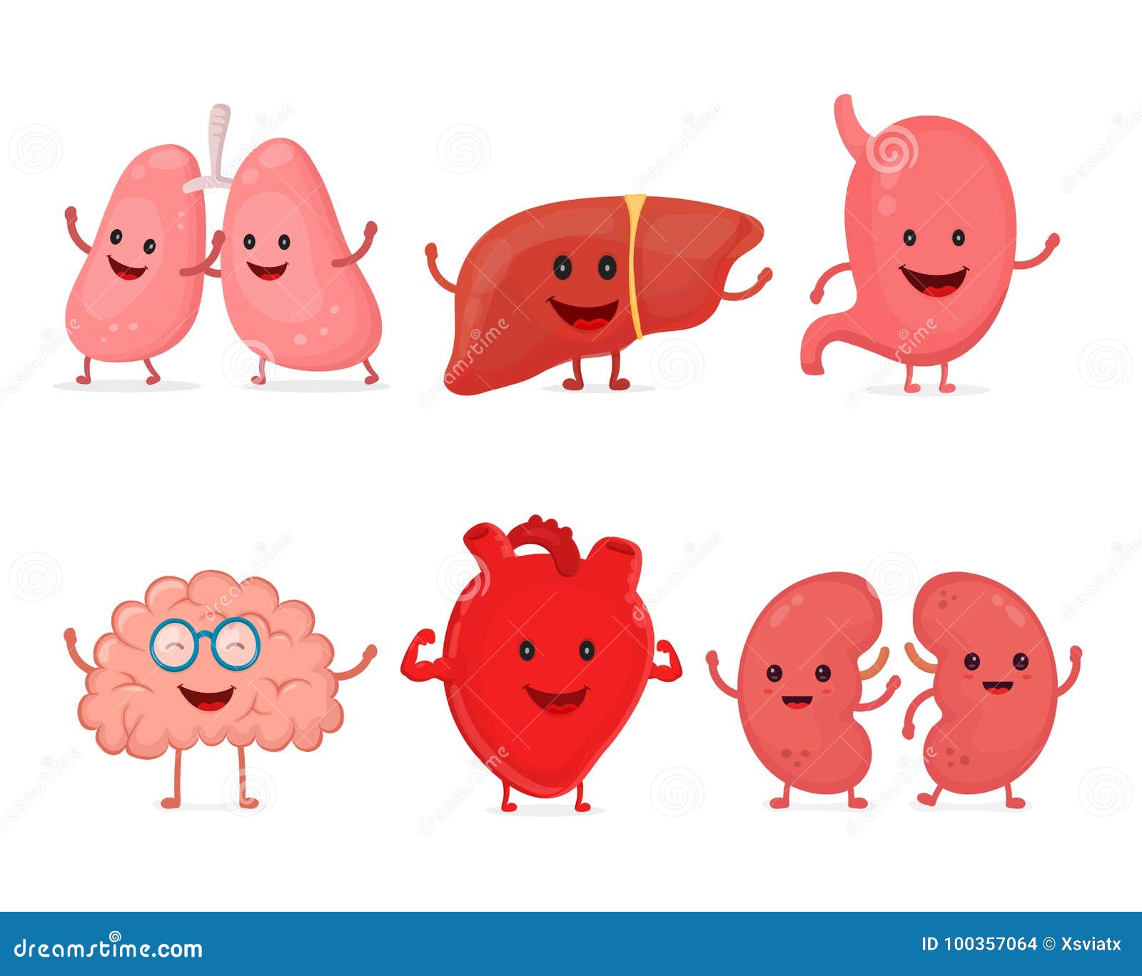 Cute Smiling Happy Human Healthy Strong Organs Set. Stock Vector ... Cute Smiling Happy Human Healthy Strong Organs Set. Stock Vector ...
