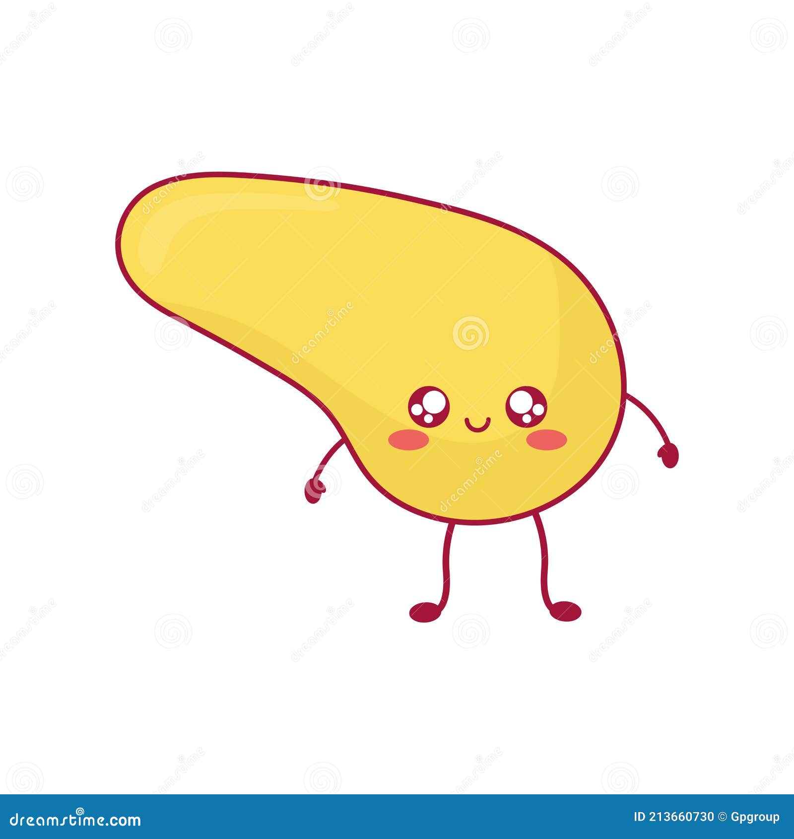 Pancreas Kawaii Healthy Character With Smile. Drawing Of A Healthy ...