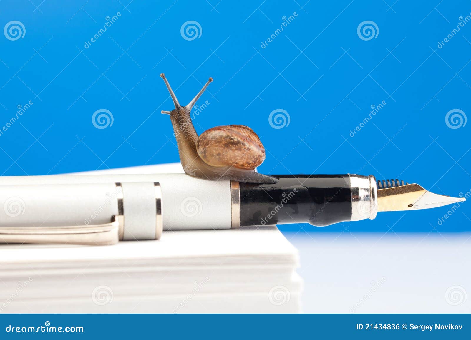 Cute Snail on the Fountain Pen Stock Photo - Image of office, write ...