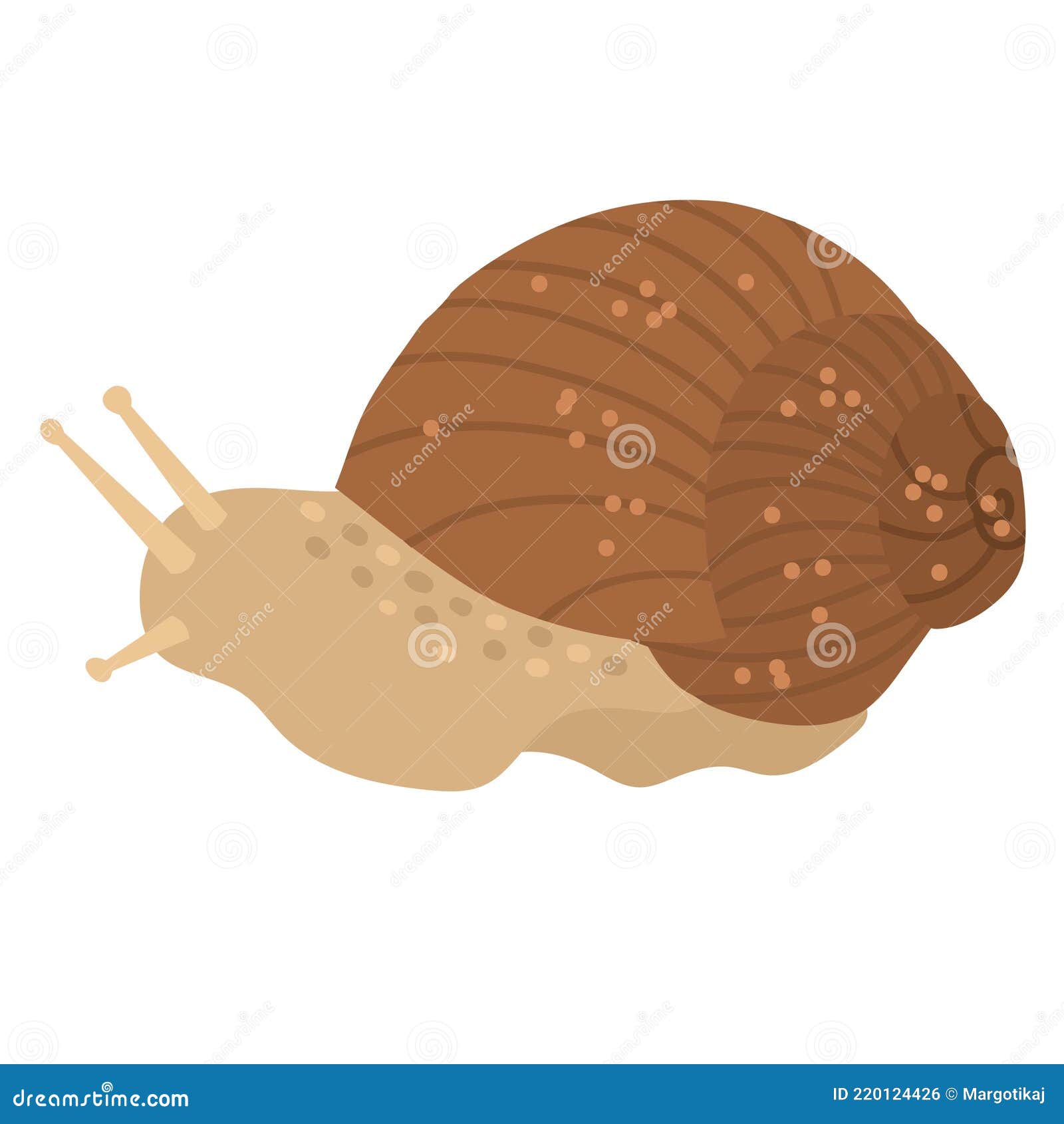 Cute Snail in a Shell in Brown. Vector Hand Drawn Cartoon Stock Vector ...