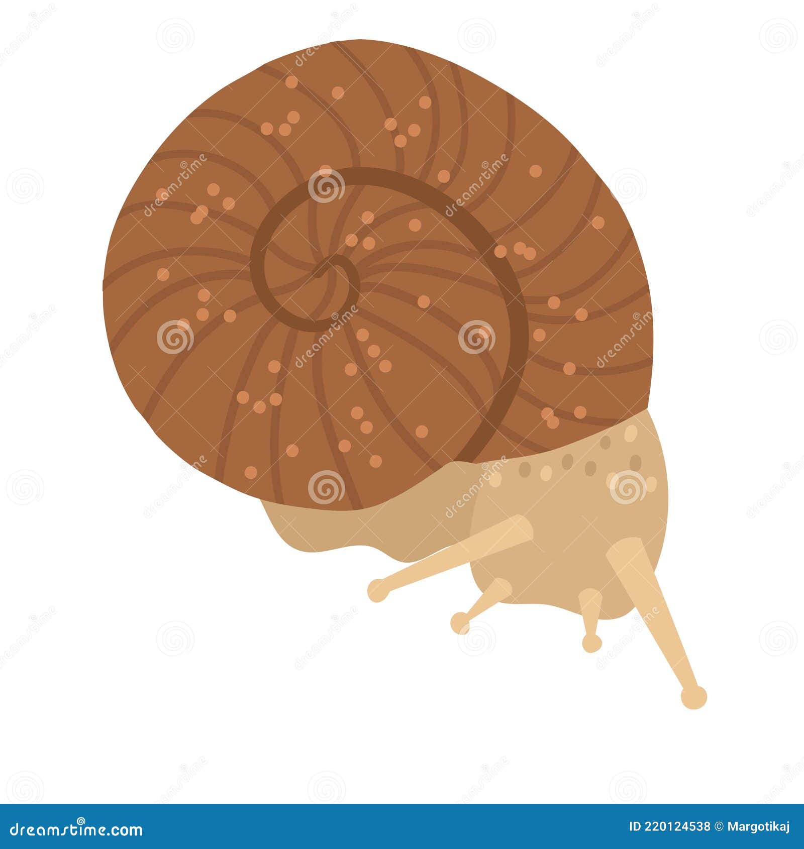 Cute Snail in a Shell in Brown. Vector Hand Drawn Cartoon Stock Vector ...