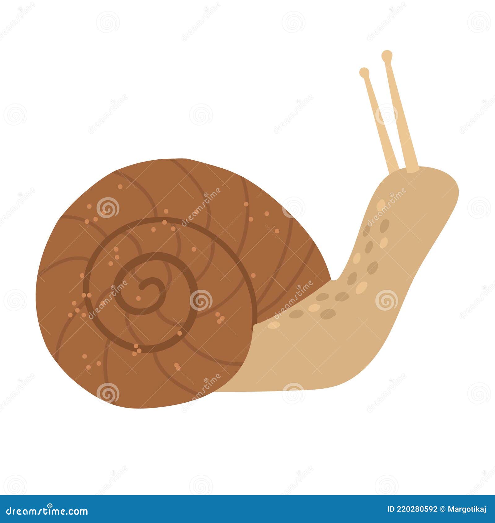 Cute Snail in a Shell in Brown. Vector Hand Drawn Cartoon Stock Vector ...