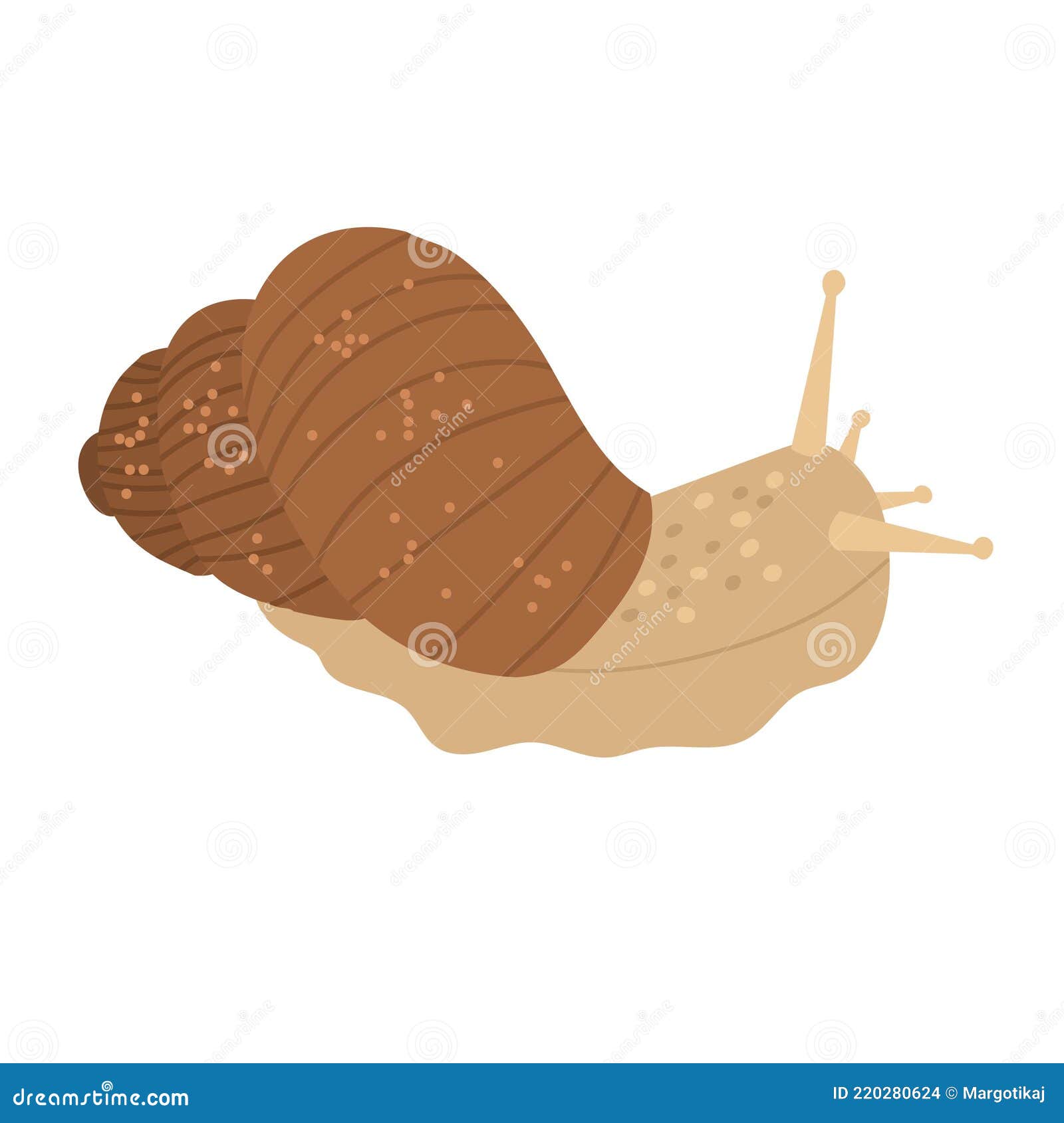 Cute Snail in a Shell in Brown. Vector Hand Drawn Cartoon Stock Vector ...