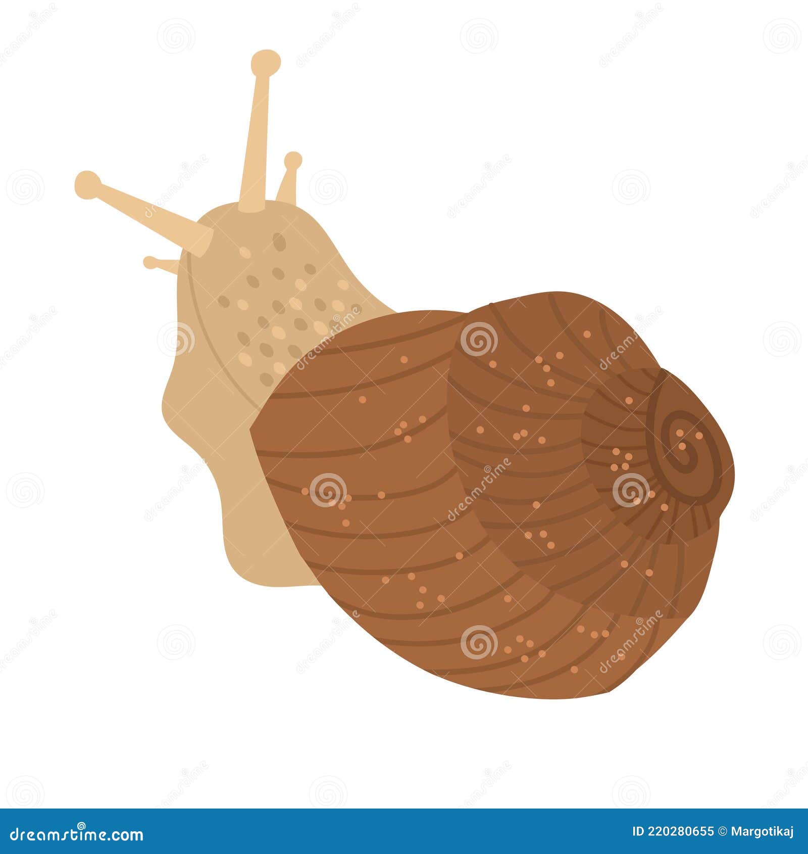 Cute Snail in a Shell in Brown. Vector Hand Drawn Cartoon Stock Vector ...