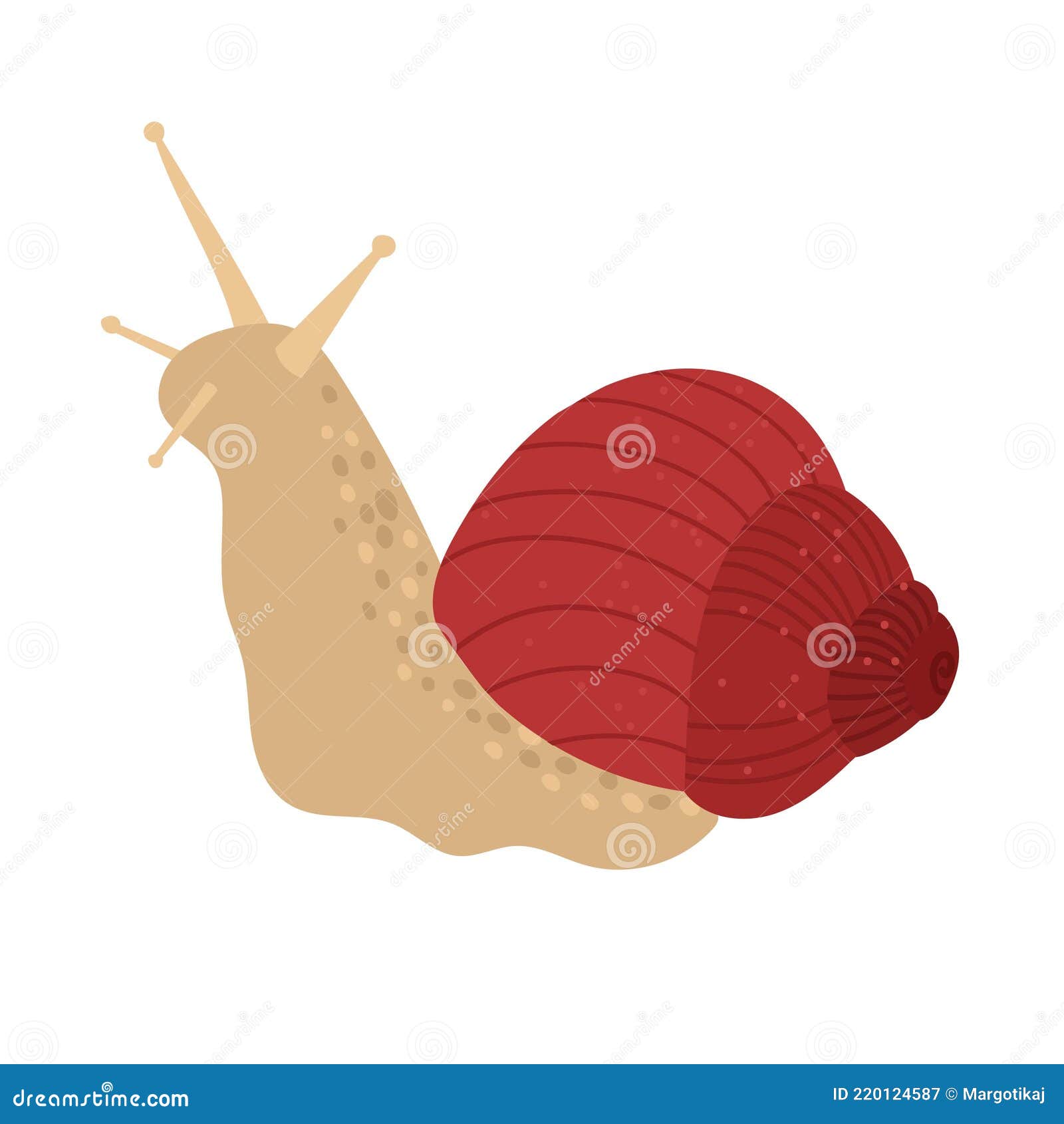 Cute Snail in a Shell in Red Color. Vector Hand Drawn Cartoon Stock ...