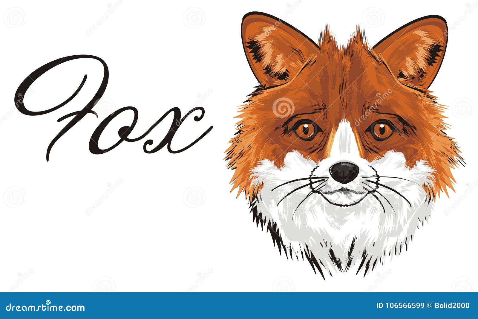 Face of fox and word stock illustration. Illustration of snout - 106566599