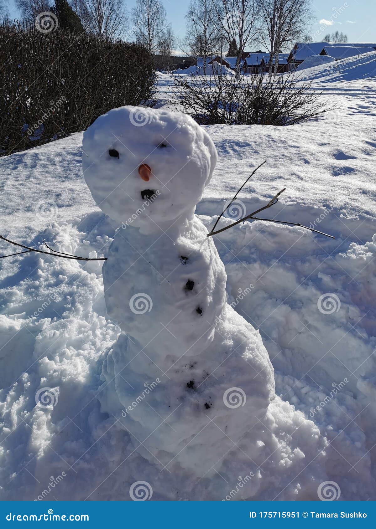 Snowman in the spring stock image. Image of spring, landscape - 175715951