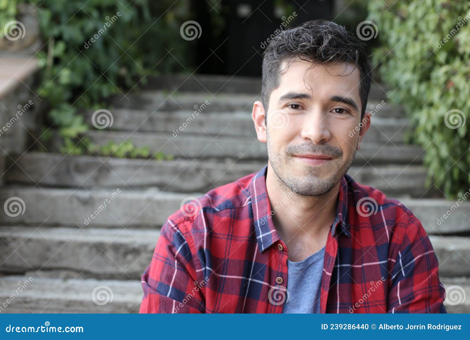 Cute South African Mastiff Puppy Lying Flat On The Floor And Facing The ...