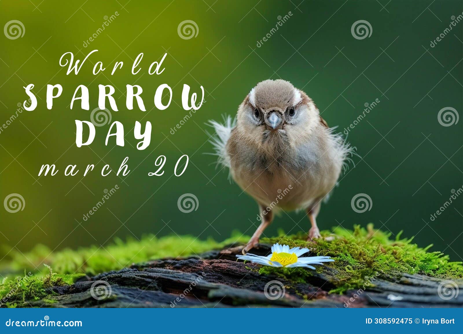 Cute Sparrow in Spring Garden with Blossom Tree, World Sparrow Day ...