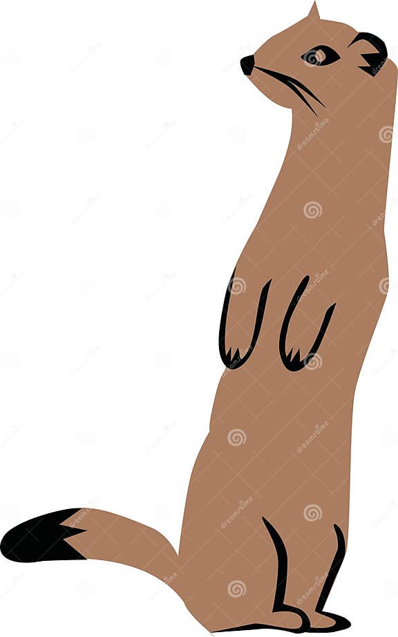 Cute stoat stock vector. Illustration of graphic, mascot - 73517394