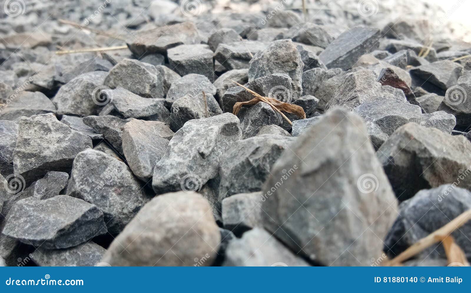 Cute Stones stock photo. Image of nice, stones, cute - 81880140