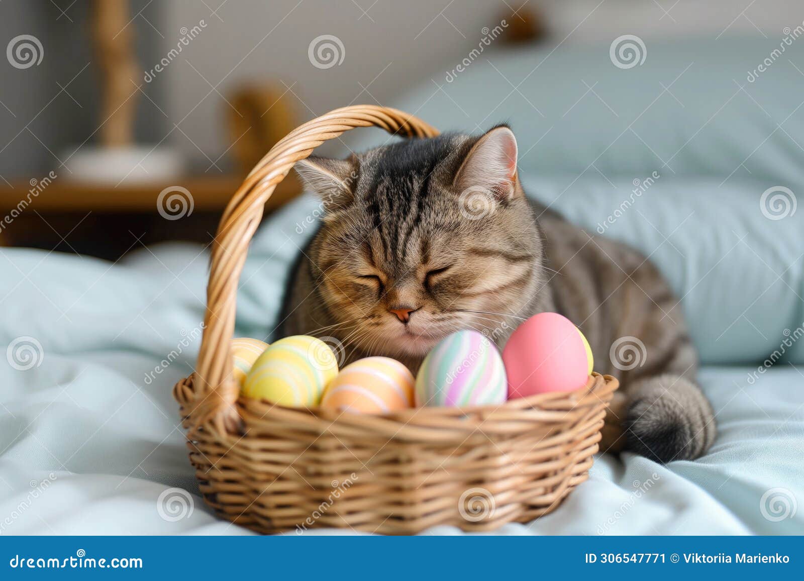 Cute Tabby Cat with Easter Eggs in Basket on Bed Stock Illustration - Illustration of domestic ...