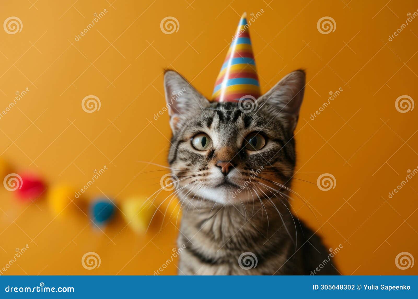 Cute Tabby Cat Wearing a Party Hat Stock Photo - Image of feline ...