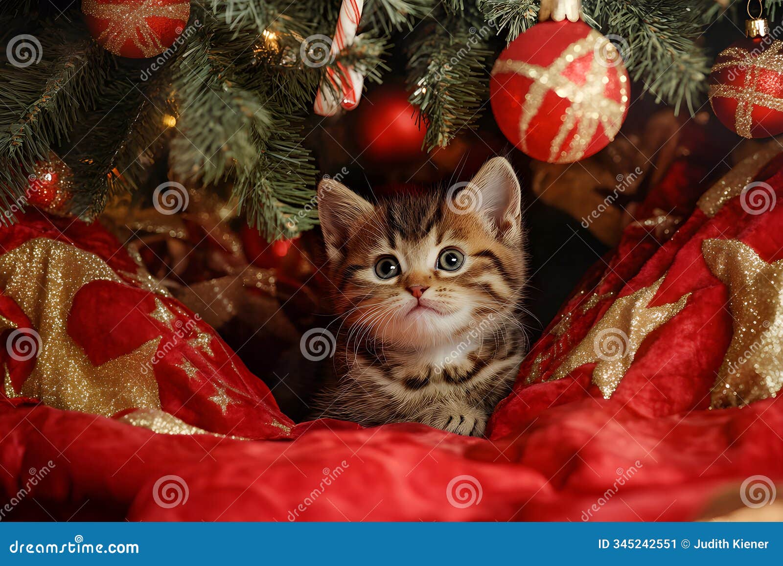 Cute Tabby Kitten Lying Under a Christmas Tree Stock Illustration ...