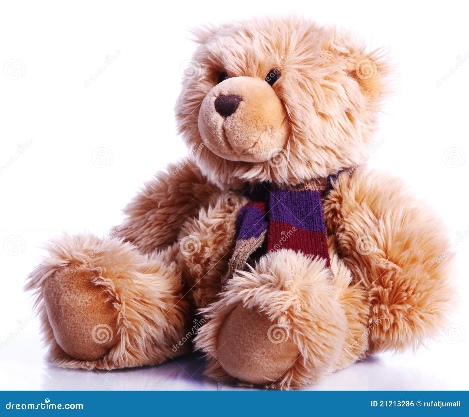 Cute Teddy Bear stock photo. Image of plaything, childhood - 21213286