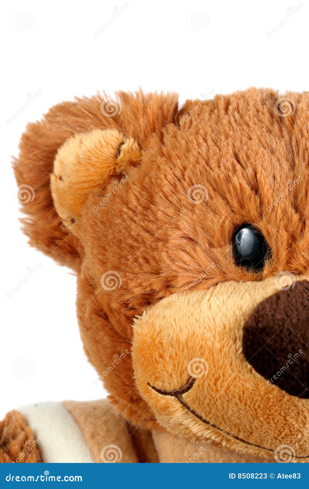 Cute Teddy Bear Royalty-Free Stock Photography | CartoonDealer.com #9300143