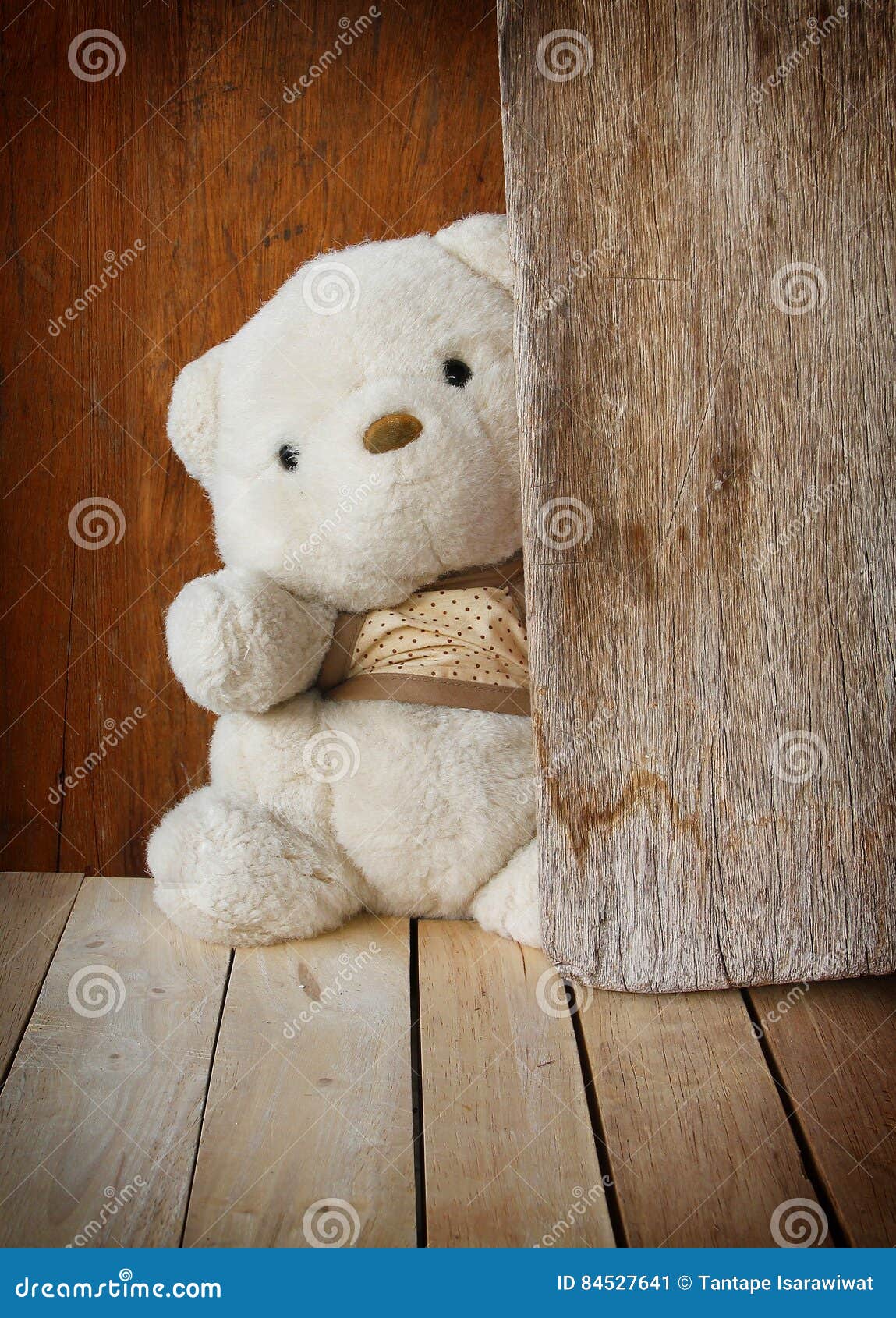 Cute Teddy Bear . stock image. Image of peekaboo, present - 84527641