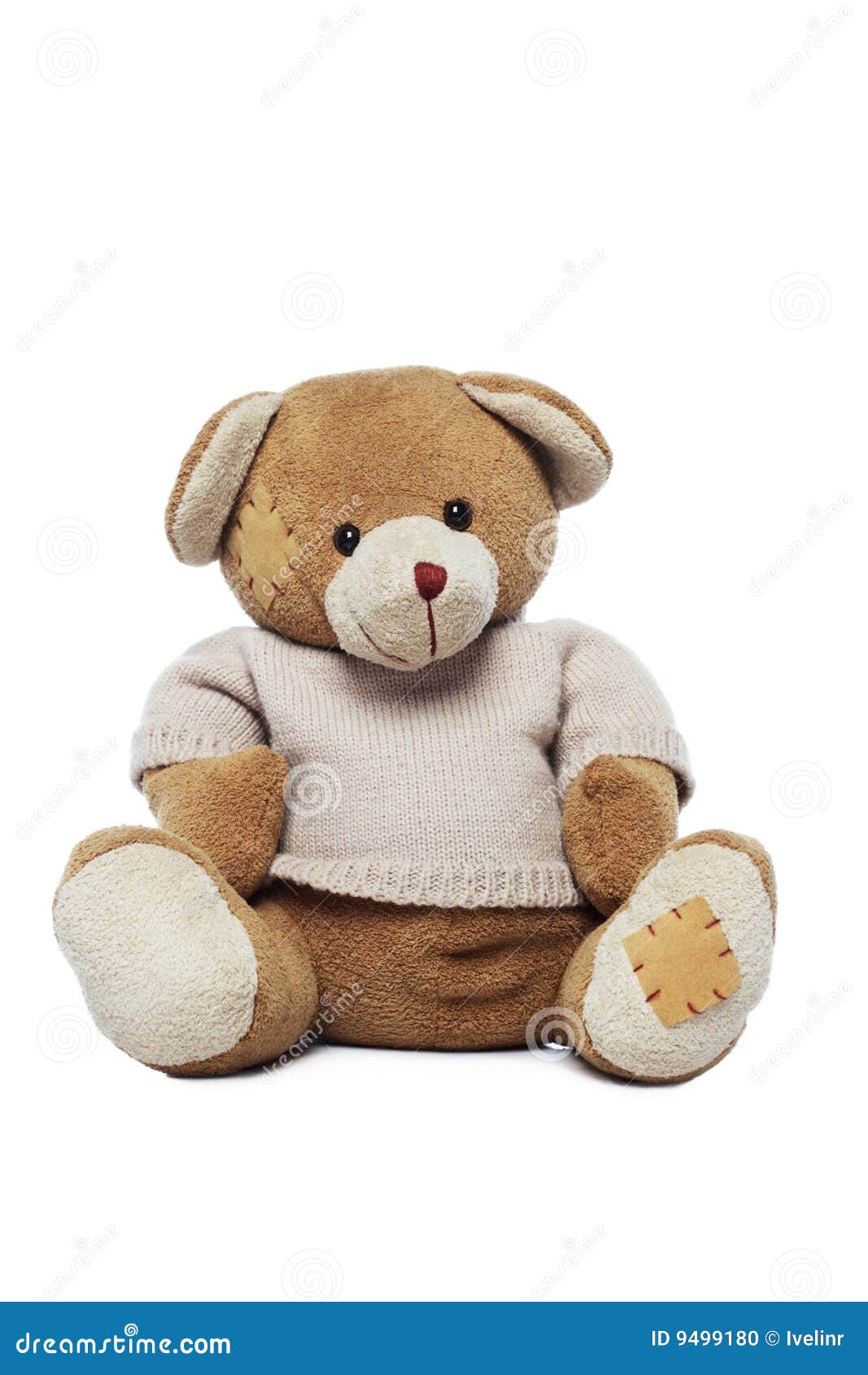 Cute Teddy Bear Royalty-Free Stock Photography | CartoonDealer.com #9300143