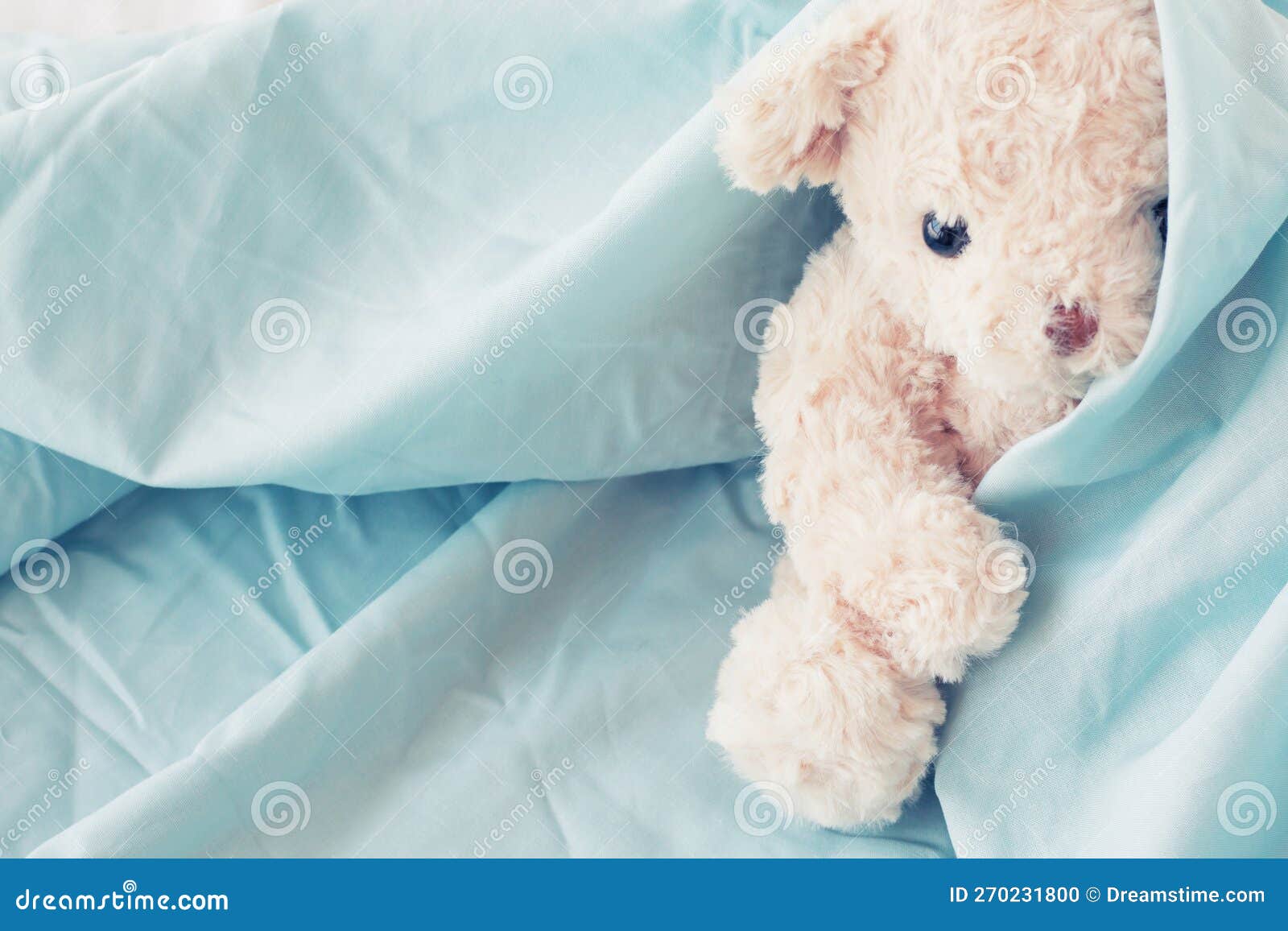 Cute teddy bear stock photo. Image of carnivore, chill - 270231800
