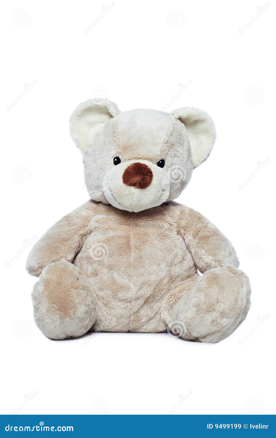 Cute Teddy Bear Toy On The Board Top View Stock Photo | CartoonDealer ...