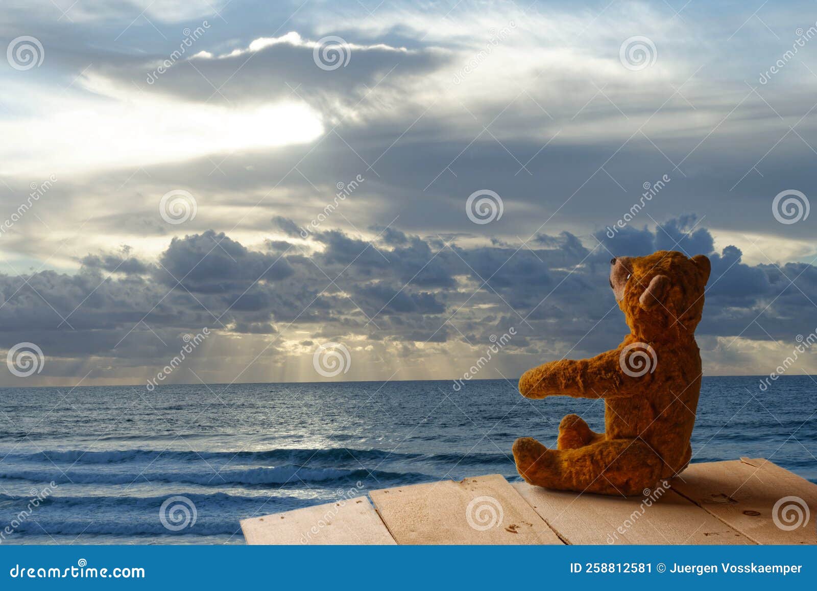 Cute Teddy Bear Sitting at the Beach Stock Image - Image of boards ...